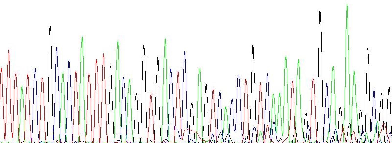 Rna测序分析的标准流程